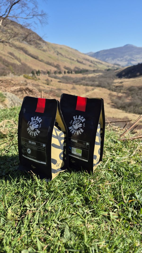 The Best Coffee Beans for Espresso: Caffia's Guide - Caffia Group
